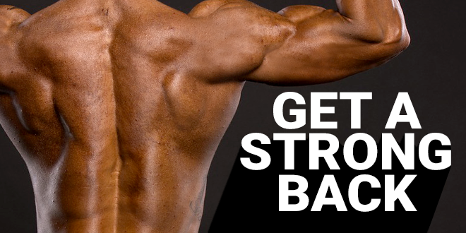5 Best Exercises For Defined Back Muscles – Zumub.com Official Blog
