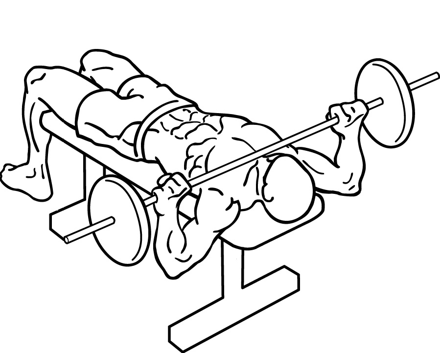 The ultimate workout for chest: the best exercises – Zumub.com Official ...