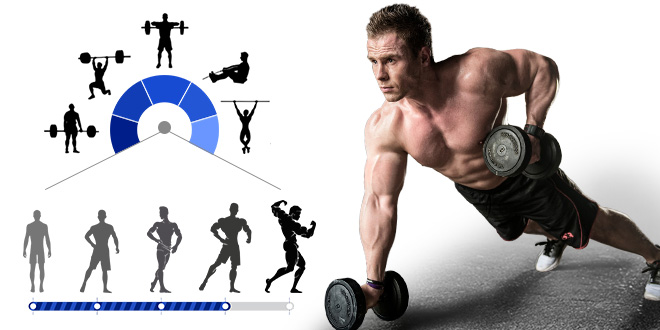 Bulking Phase Workout: How to Train During Bulk Season – Zumub.com ...