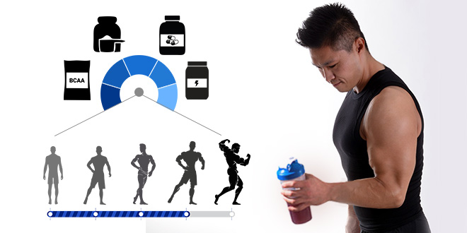 5 Best Supplements For Bulking – Zumub.com Official Blog