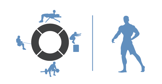 Cutting Workout Plan, Training Types and Tips – Zumub.com Official Blog