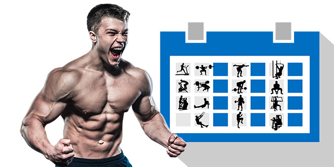 Workout plan for beginners to help you define your body – Zumub.com ...