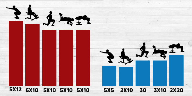 Volume di allenamento: basso o alto? Qual è la scelta migliore? – Zumub ...